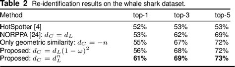 Combining Feature Aggregation And Geometric Similarity For Re Identification Of Patterned