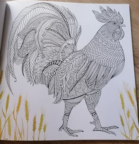 Pobarvanka Za Odrasle