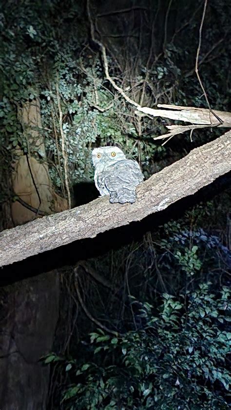 Homer Simpson Nerd Buster R Thesimpsons