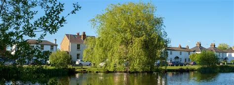 Esher Area Guide Hamptons Estate Agents