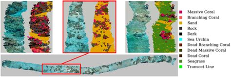 Scalable Semantic 3d Mapping Of Coral Reefs With Deep Learning Sauder