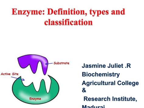 Enzyme Definition Insight Enzyme Databases Almac