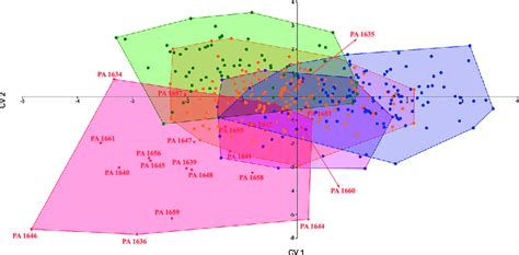 Plot Of The First Two Discriminant Functions Cv2 Vs Cv1 Based On The Download Scientific