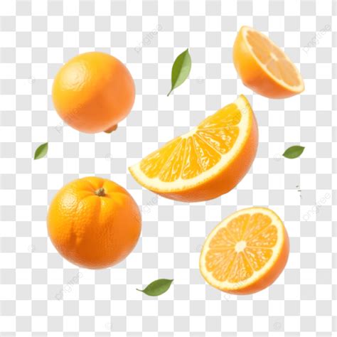 미드 공기 중 신선한 생 전체와 얇게 썬 오렌지 비행 미드 공기 중 신선한 생 전체와 얇게 썬 오렌지 비행 신선한 생 전체와 얇게 썬 오렌지를 비행합니다 날아다니는