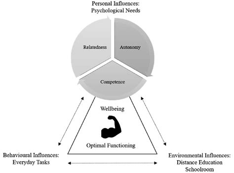 The Conceptual Framework Adapted From Banduras 1986 Triadic