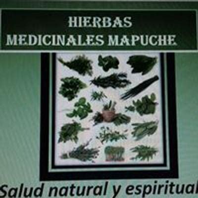 Discover Hierbas Medicinales Mapuche Events Tickets And Details Allevents