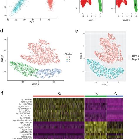 Clustering Of Scrna Seq Data In Murine 3t3 L1 Cells A Primary