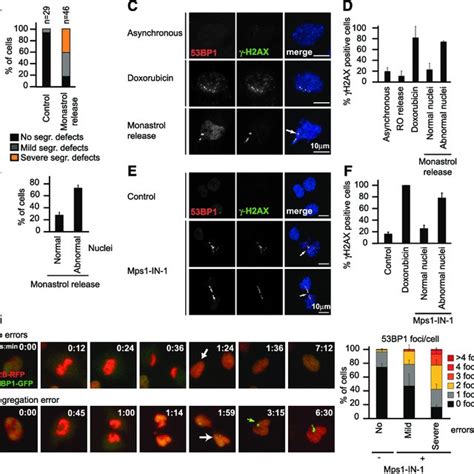 Pdf Chromosome Segregation Errors As A Cause Of Dna Damage And