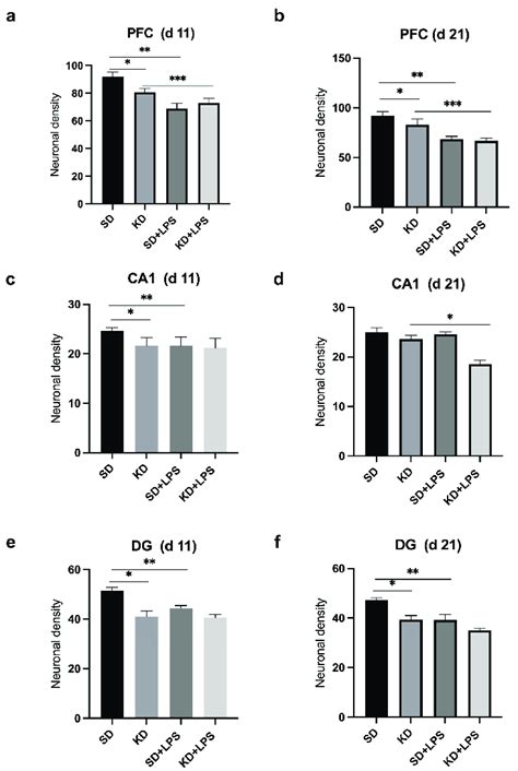 Cresyl Violet Staining Of The Prefrontal Cortex The Neuronal Density Download Scientific