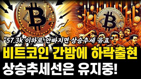 비트코인 간밤에 하락 하락원인은 갈색고래 매도 그러나 상승추세는 여전히 유지중 비트코인 전망 호재 분석 Youtube