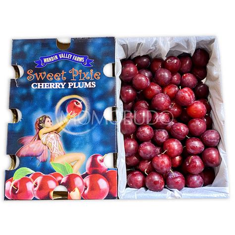 Sweet Pixie® Cherry Plum — Momobud