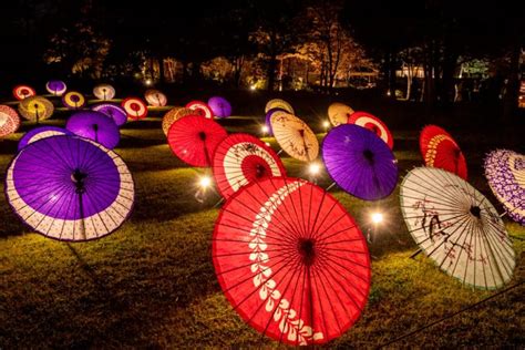 昭和記念公園 秋の夜散歩 日本庭園の和傘