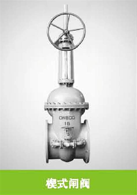 楔式闸阀1 厂家价格 闸阀 中阀控股（集团）有限公司 中国泵阀网