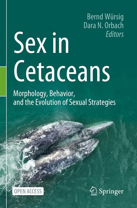 Sex In Cetaceans NHBS Academic Professional Books