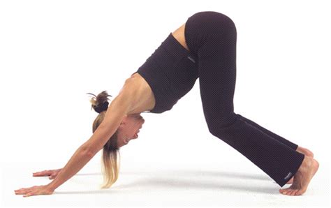 Собака мордой вниз — Yoganotes