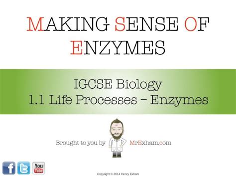 Pptx Mr Exham Igcse Biology Enzymes Dokumentips