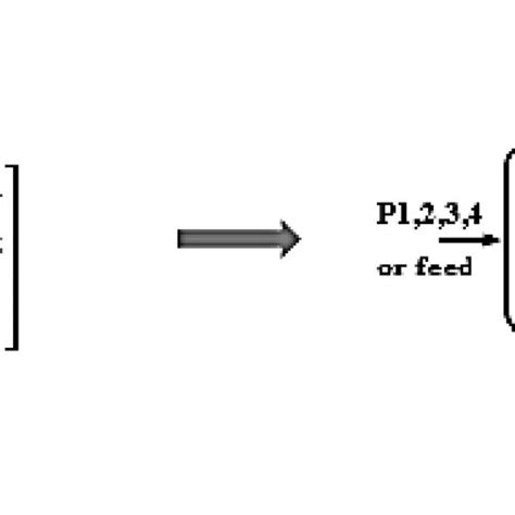 Procedure Of Determination Of The Sequence Structure From The