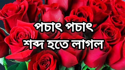 Free Bangla Sex Porn Videos Xhamster