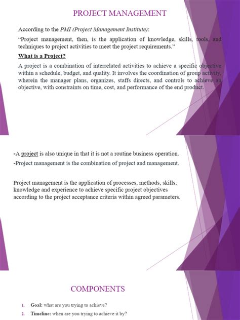 project management pdf project management economies