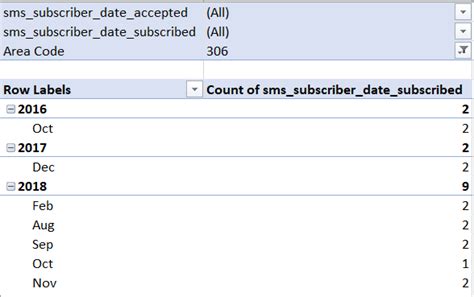 Pivot Table Vba That Filters For Only Certain Area Codes Rexcel