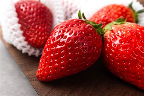 킹스베리 딸기 유토이미지 상세페이지 베이직샵 22304474