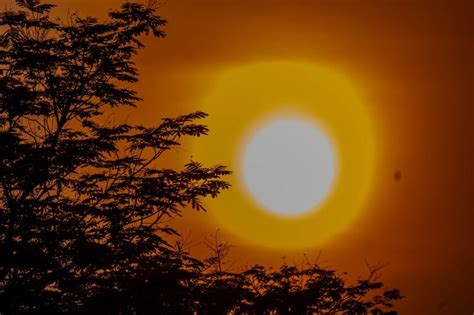 Saurabh Suman On Linkedin Jindalsteelandpower