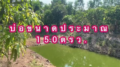 💝 ขายบ้านสวน 2 หลัง เนื่อที่ 1 ไร่ 2 งาน 33 ตารางวา ต ดงบัง อ ประจันตคาม จ ปราจีนบุรี 2 8 ลบ