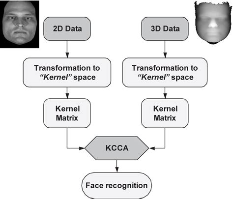 The Principles Of The Kcca Algorithm For 2d 3d Face Recognition Download Scientific Diagram