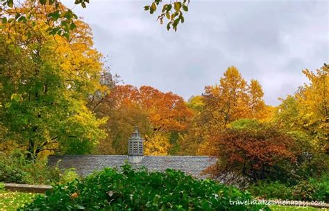 Fall Colors Central Park Nyc Central Park In Fall The Best Places To
