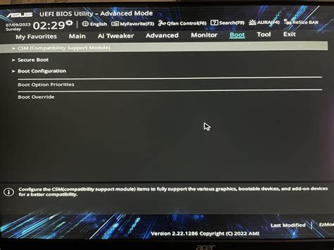 Cant Choose Boot Priority Option And Cant Enable Csm Rasus