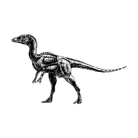 Jurassic Park Svg Jurassic Park Template Svg Jurassic Park Inspire