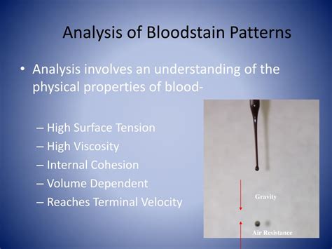 PPT Bloodstain Pattern Analysis PowerPoint Presentation Free Download ID