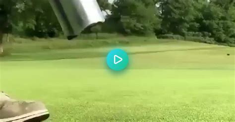 Plugging A Golf Hole Album On Imgur