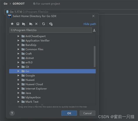 「golang 编译器的报错」the Selected Directory Is Not A Valid Home For Go Sdk Csdn博客