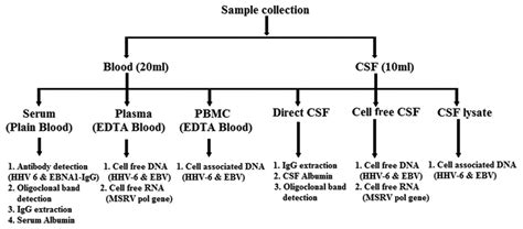 Sample Processing Protocol Download Scientific Diagram