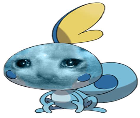 242 Best Sobble Images On Pholder Pokemon Sword And Shield Shiny
