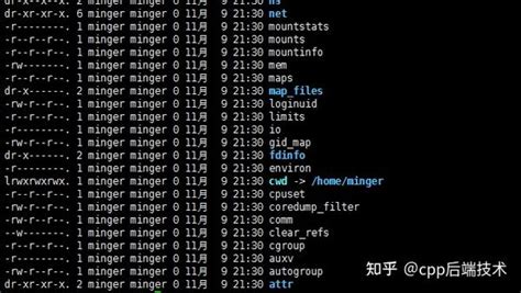 Linux下cc实现进程内存使用分析工具（memstat） 知乎