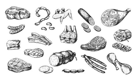 손으로 그린 고기 제품 돼지 고기와 쇠고기의 일부 뼈 또는 필렛 조각 훈제 닭고기 소시지와 햄 도살장 가게 메뉴 요리 재료 벡터 흑백 식품 세트 일러스트레이션에 대한 스톡