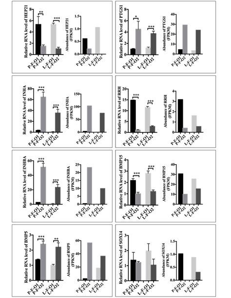 Qrt Pcr Validation Of Differentially Expressed Genes In Rna Seq Each