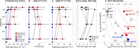 Patterns In Carbon Export Flux Mean ± Std Of A Export Fluxes Of