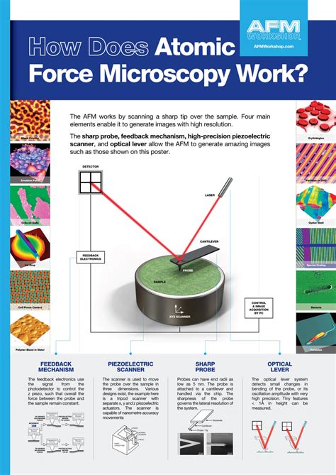 How Does Atomic Force Microscopy Work Poster