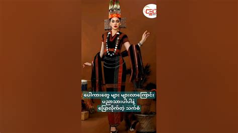 ပေါကားတွေ များလာကြောင်း ပညာသားပါပါနဲ့ ပြောလိုက်တဲ့ သက်စံ ပျားတူအုံတော့ တုတ်နဲ့သွားထိုးပြီ