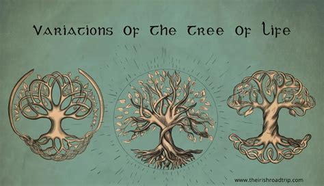 Celtic Symbol Of Life What Does The Tree Of Life Symbol Mean