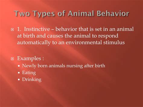 Ppt Animal Behavior Powerpoint Presentation Free Download Id1942938