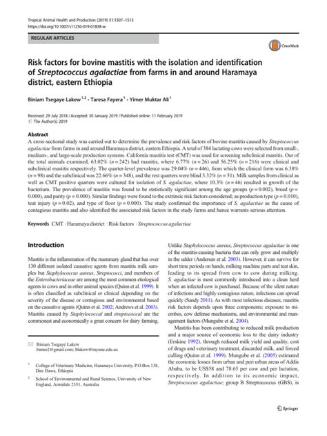 Risk Factors For Bovine Mastitis With The Isolation And Identification Of Streptococcus