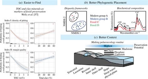 Proterozoic Microfossils Continue To Provide New Insights Into The Rise Of Complex Eukaryotic
