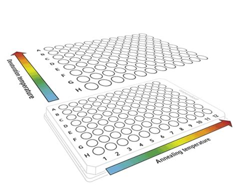1d Gradient 2d Gradient Eppendorf Us