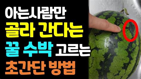 수박 고를때 이제 두드리지 마세요 꿀 수박 고르는 초간단 방법 Youtube