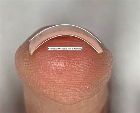 Why You Need To Know The Difference Between The Nail Convex And Concave Scratch Magazine