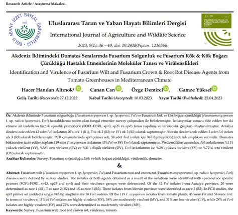 Identification And Virulence Of Fusarium Wilt And Fusarium Crown And Root Rot Disease Agents From
